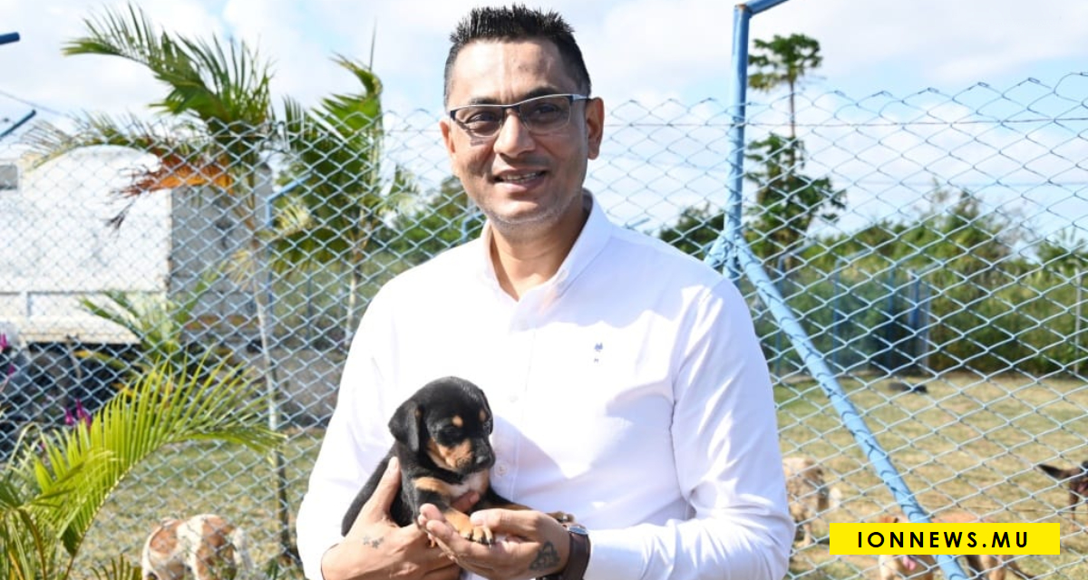 Vikram Hurdoyal appelle à adopter un chien chez MSAW pour déduire jusqu ...