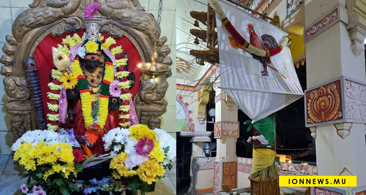 Thaipoosam Cavadee : Début du jeûne de dix jours en l’honneur du dieu ...